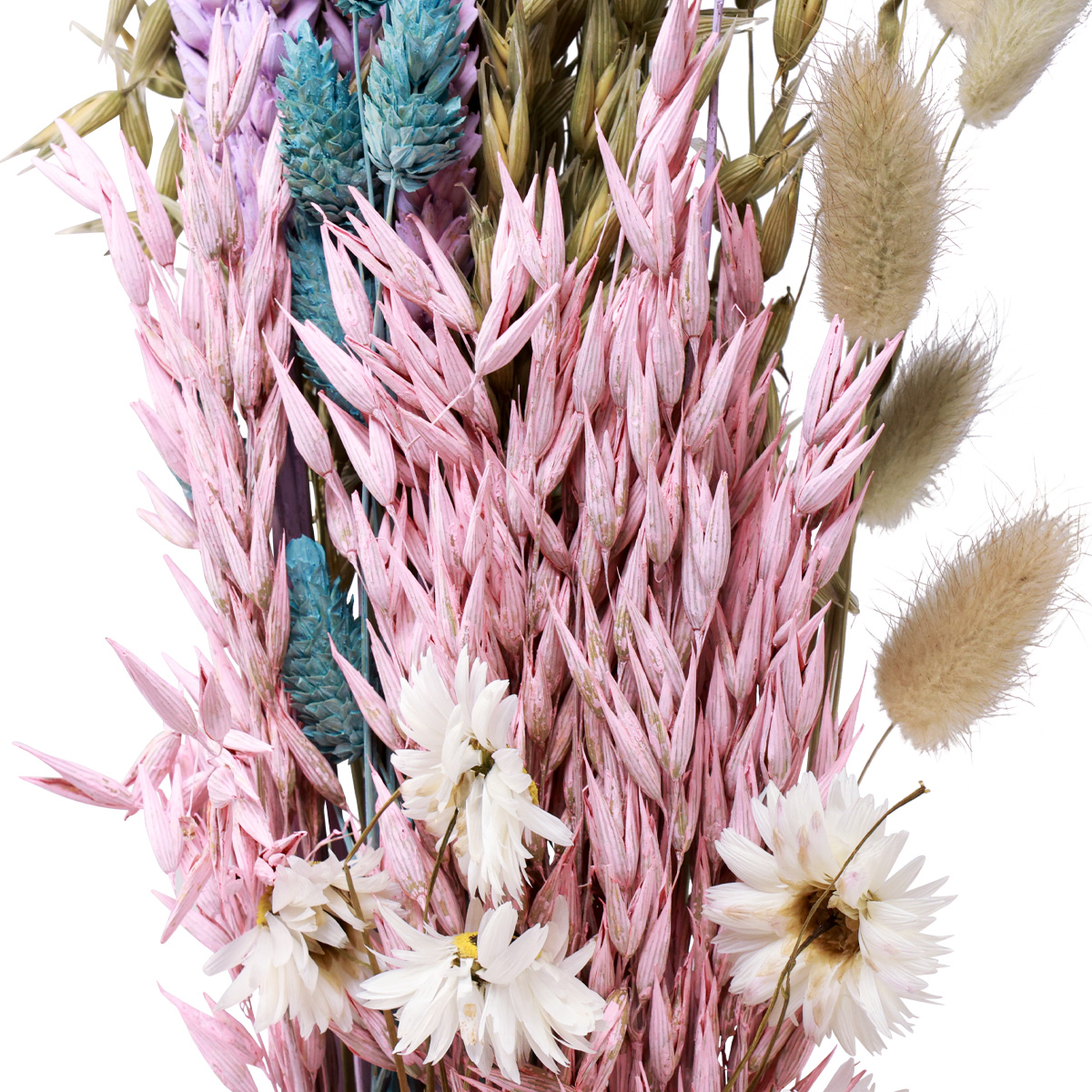 Floristik24.be Bouquet de fleurs séchées fleurs de paille grain de ...