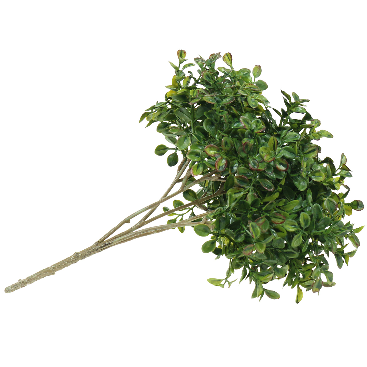 Floristik24.be Branche de buis vert 27cm-234088-42