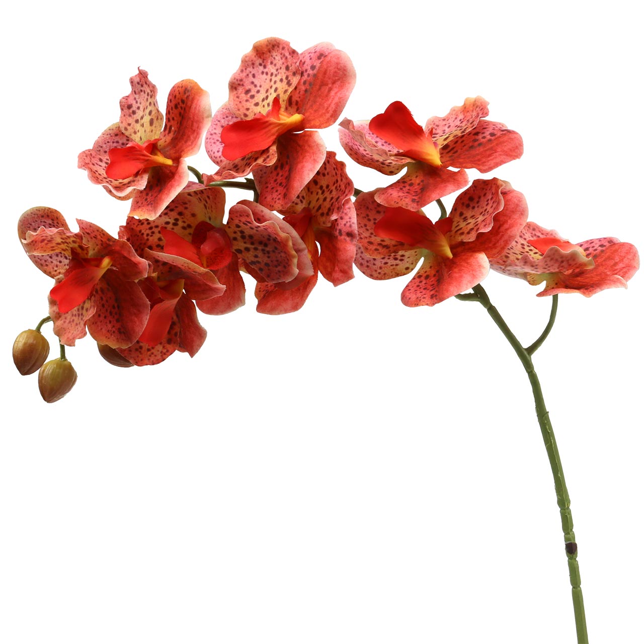 Floristik24.be Orchidée artificielle Phaelaenopsis Rouge, Orange H81cm ...