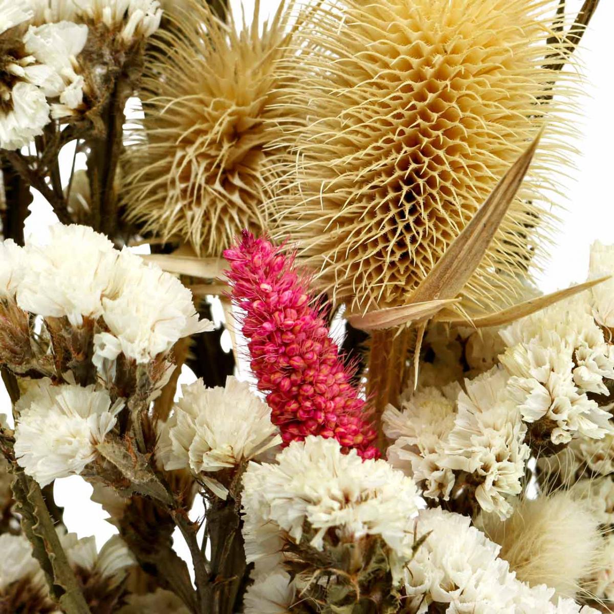 Floristik24.be Bouquet de fleurs séchées bouquet de fleurs de paille ...